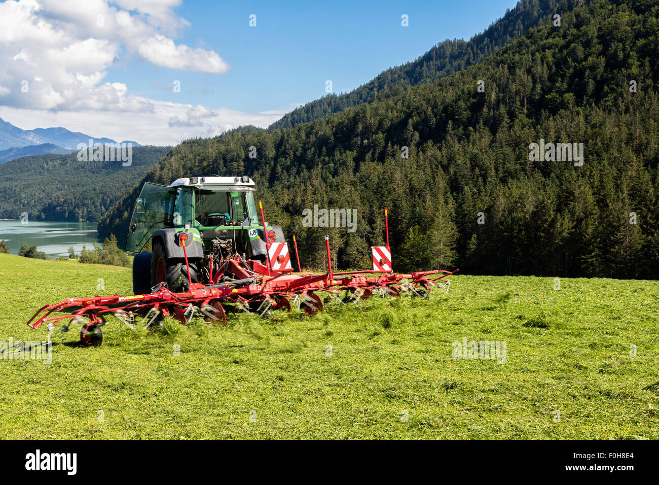 Tedding hay with tractor Stock Photo - Alamy