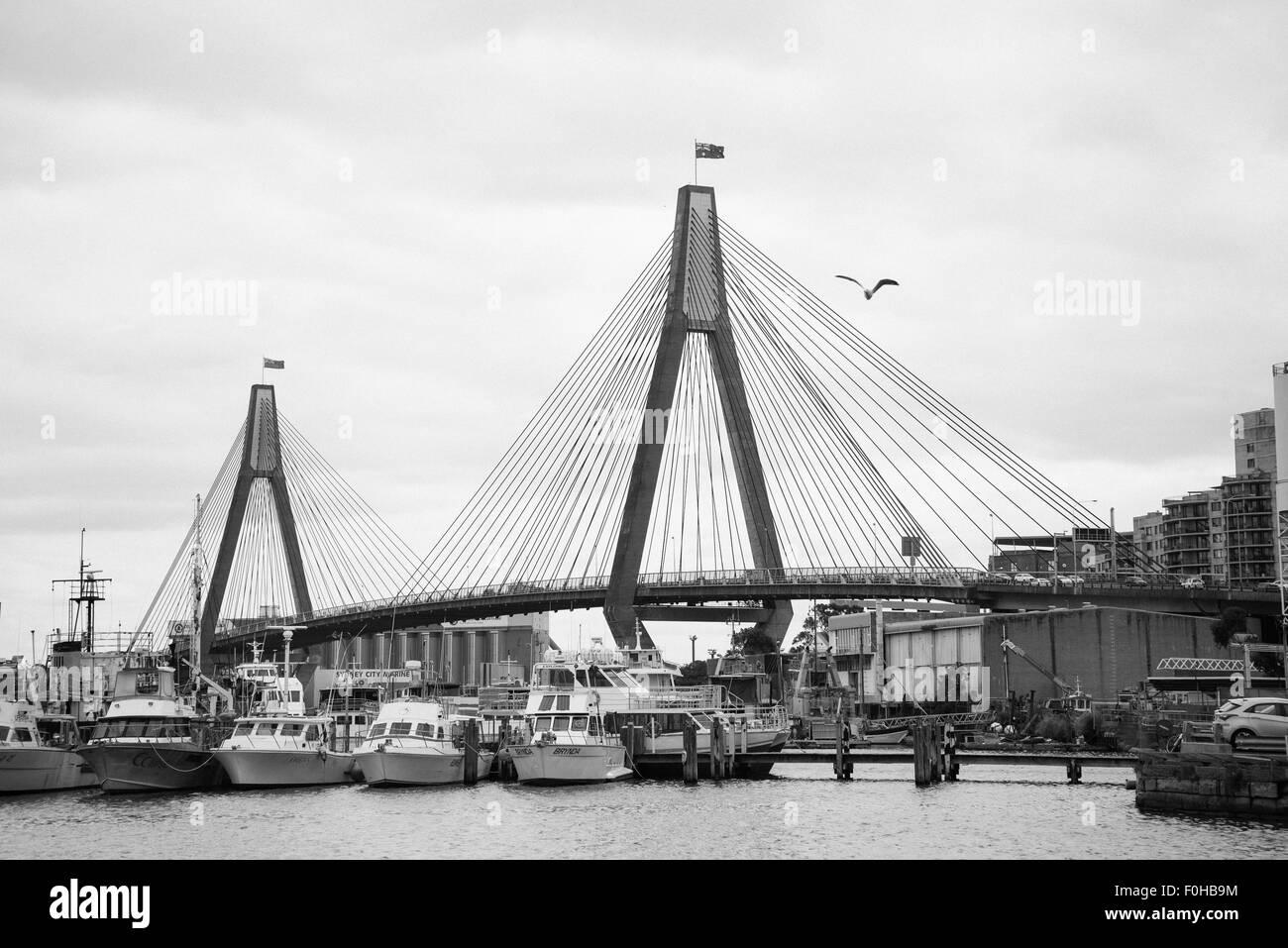 Anzac bridge in Sydney, Australia Stock Photo - Alamy