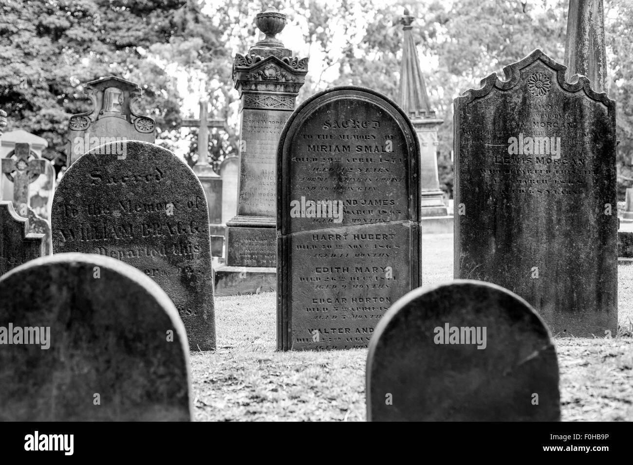 St Anne Anglican Church cemetery in Ryde, Australia Stock Photo - Alamy