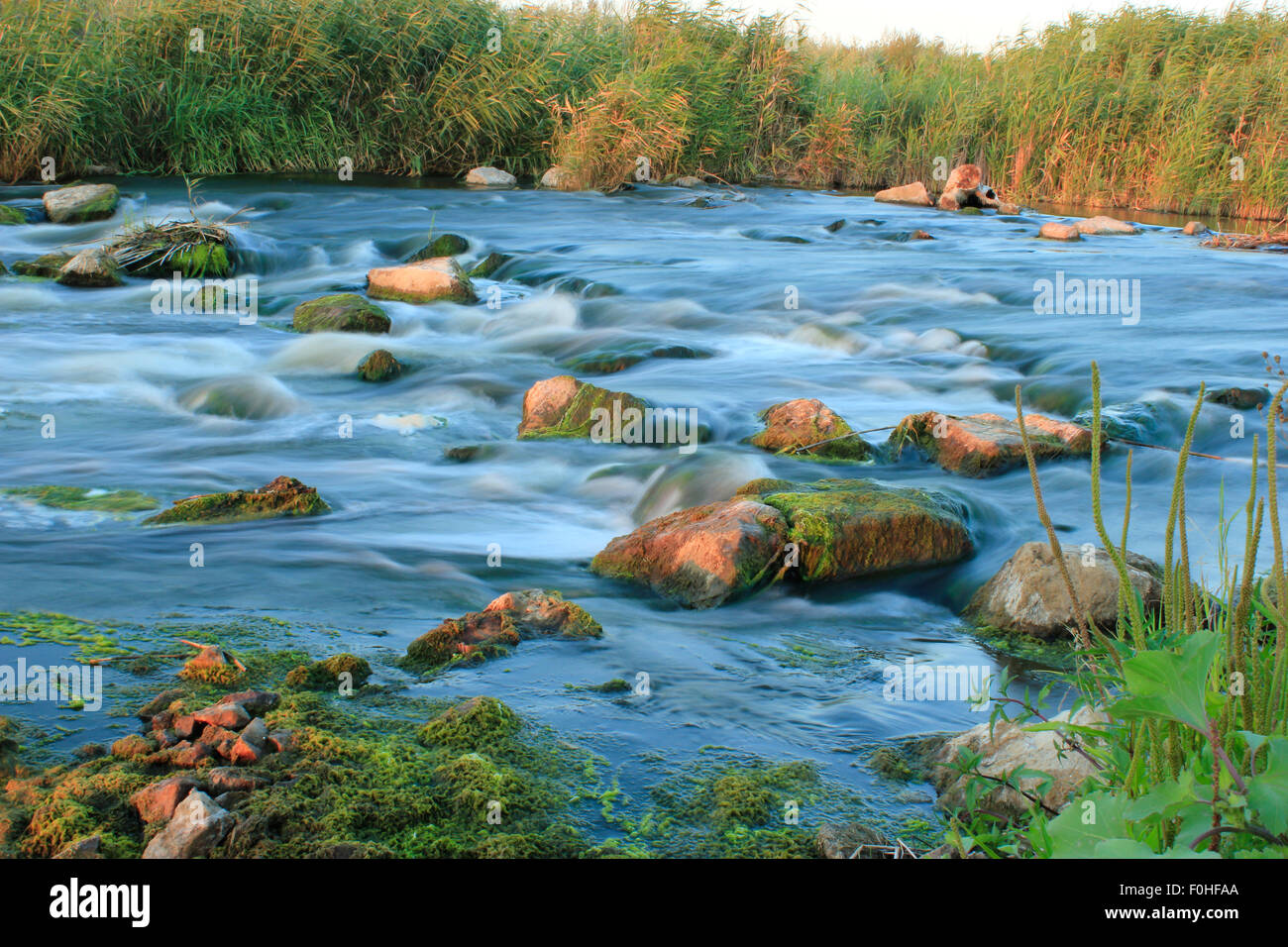 Stream into rock hi-res stock photography and images - Alamy