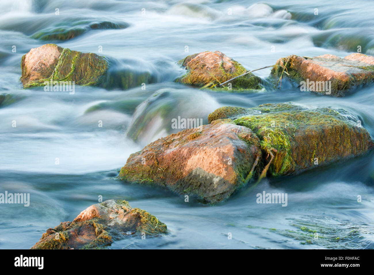 River, Rapid, Flowing, Stream, Reed, Water, Rock Stock Photo - Alamy