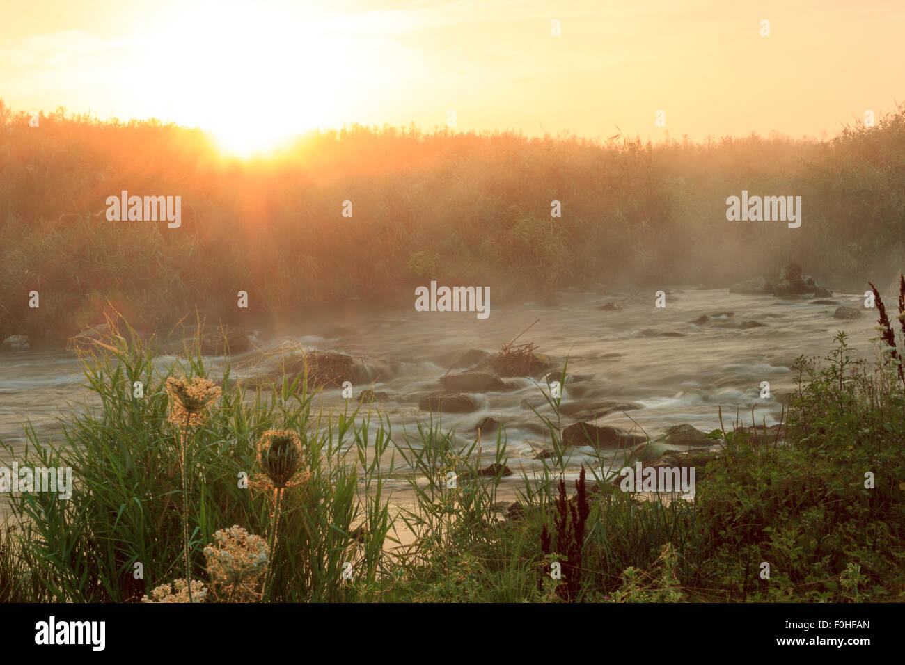 River, Rapid, Flowing, Stream, Reed, Water, Rock, Dawn Stock Photo - Alamy