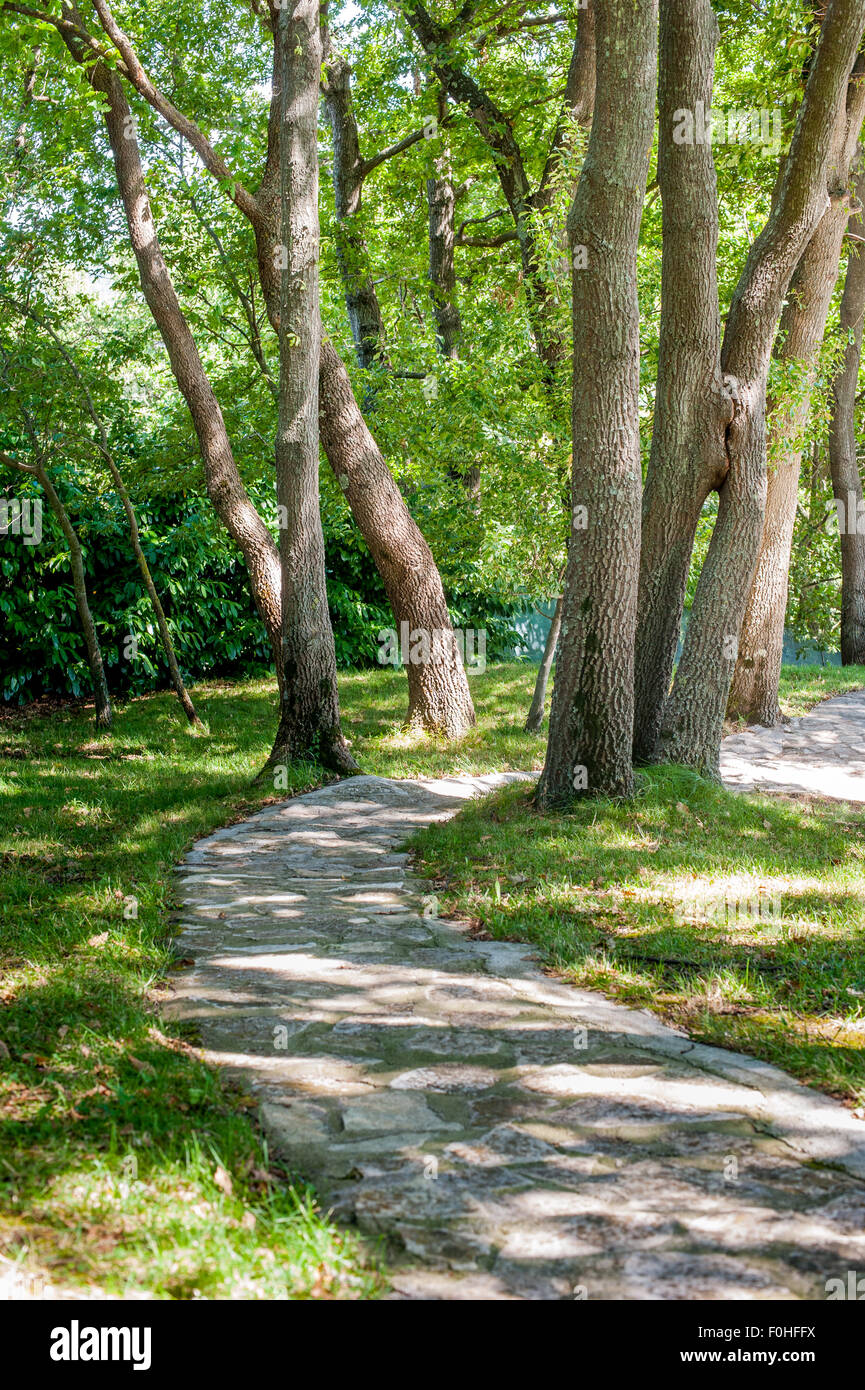 Stone path in garden with round between green trees, vertical Stock ...
