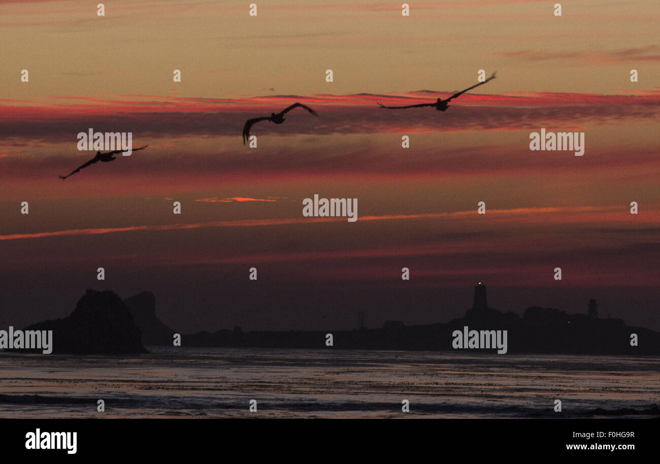 Los Angeles, California, USA. 16th Aug, 2015. The sunset is seen along ...