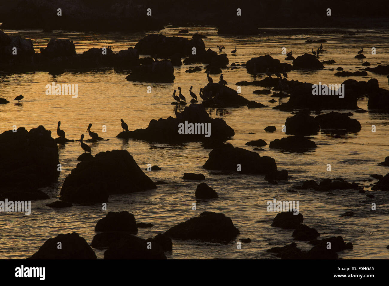 Los Angeles, California, USA. 16th Aug, 2015. The sunset is seen along ...