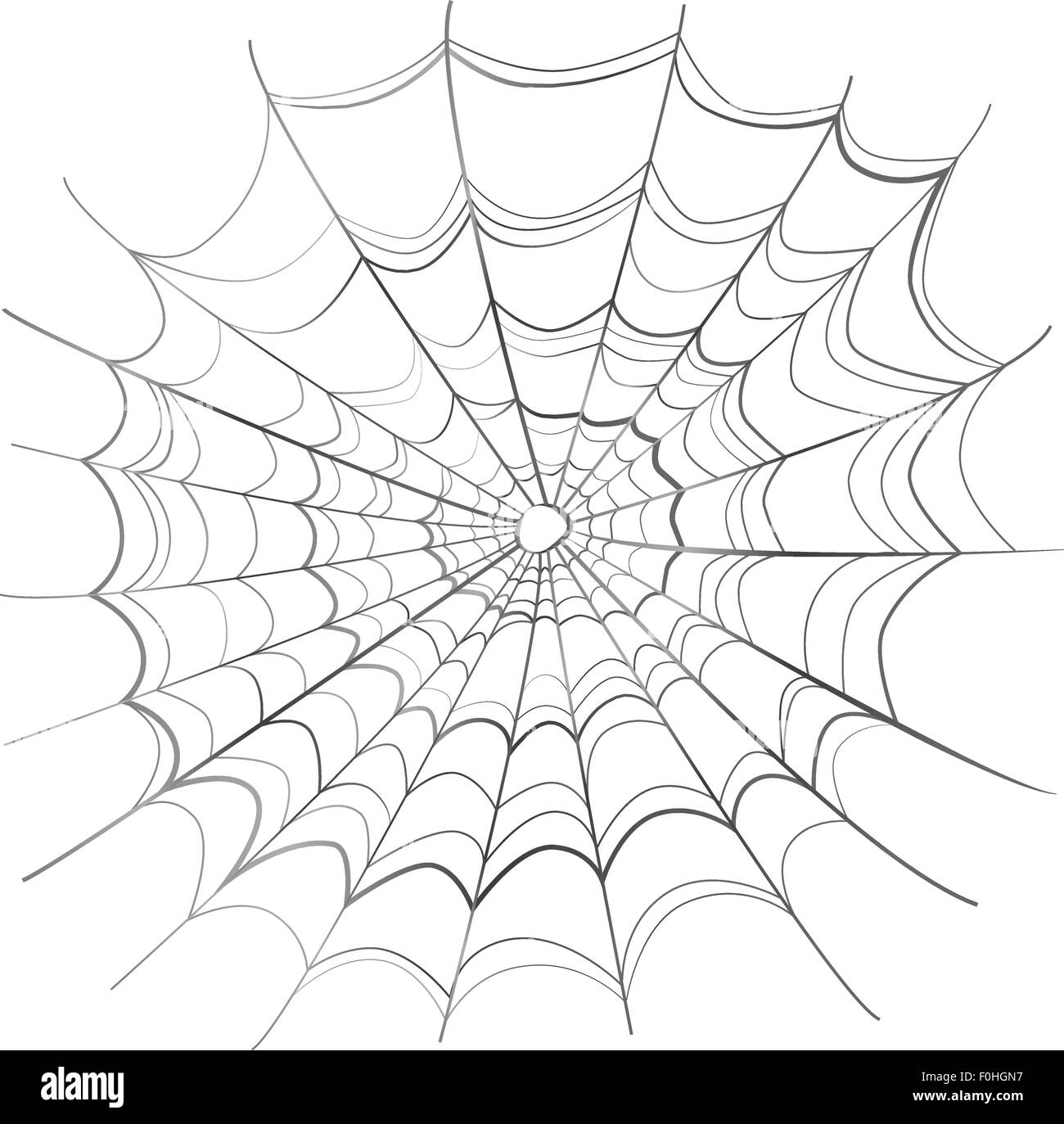 Complicated spider web on white Stock Vector Image & Art - Alamy