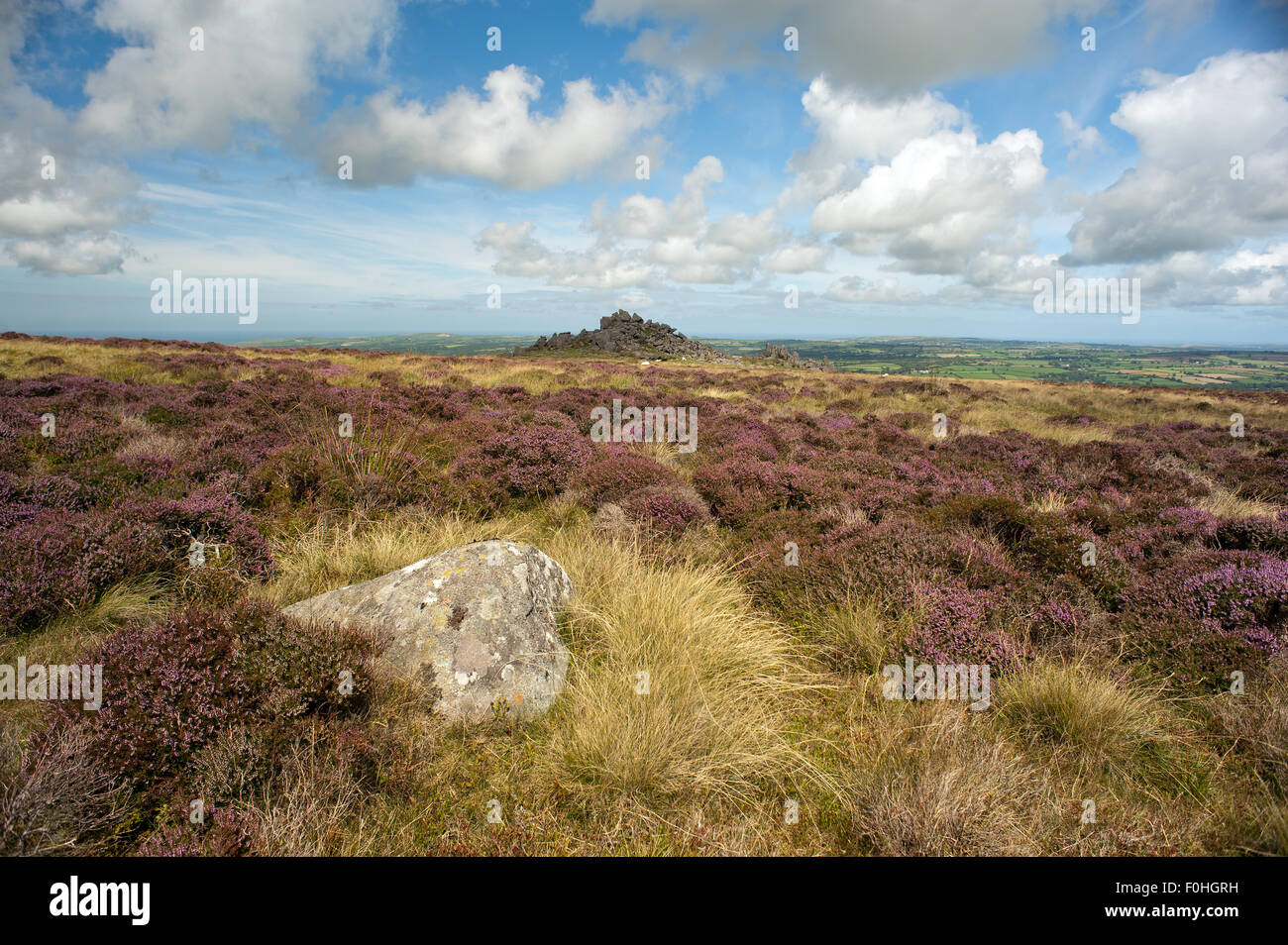 Preseli hills hi-res stock photography and images - Alamy