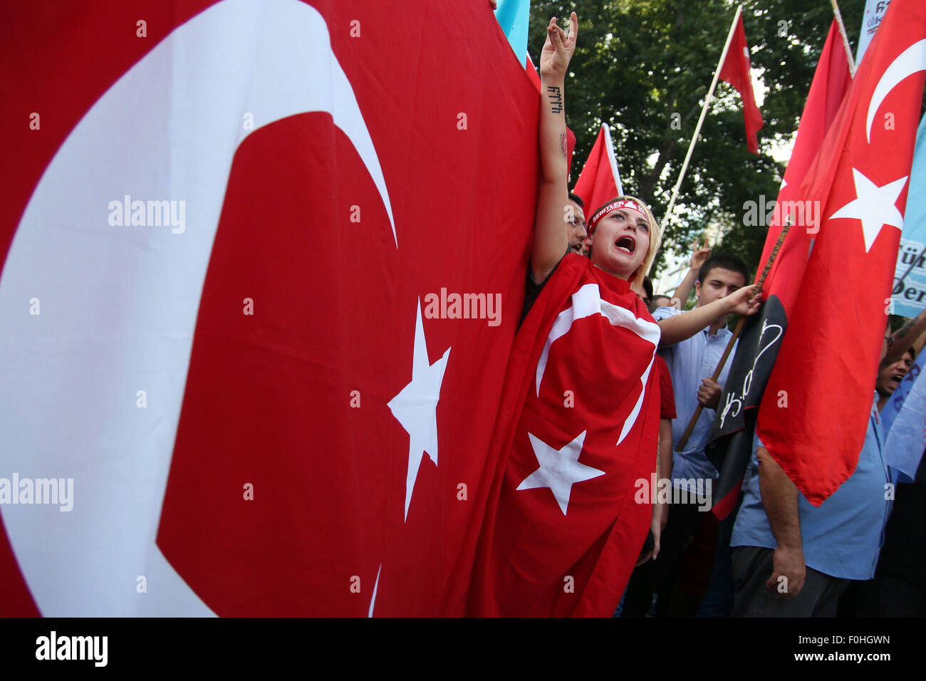 Turkish Wolf High Resolution Stock Photography and Images - Alamy