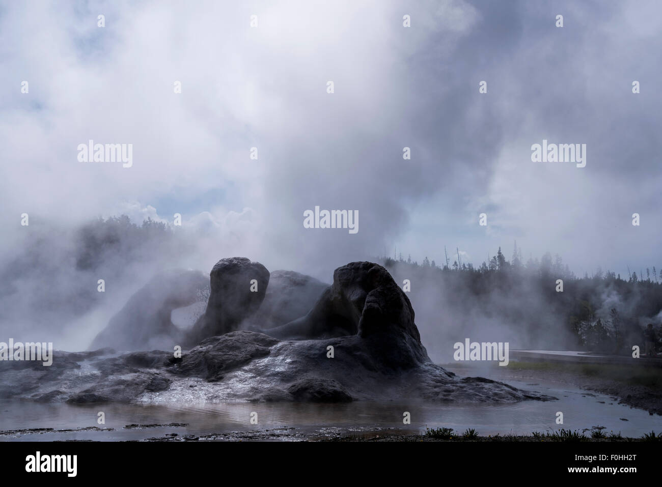 Famous unusual Grotto geyser in haze,Yellowstone National Park ...
