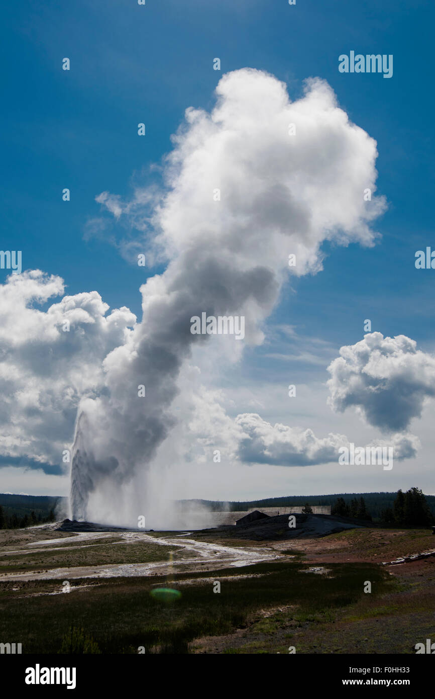Moment of Old Faithful geyser eruptions, Yellowstone National Park ...