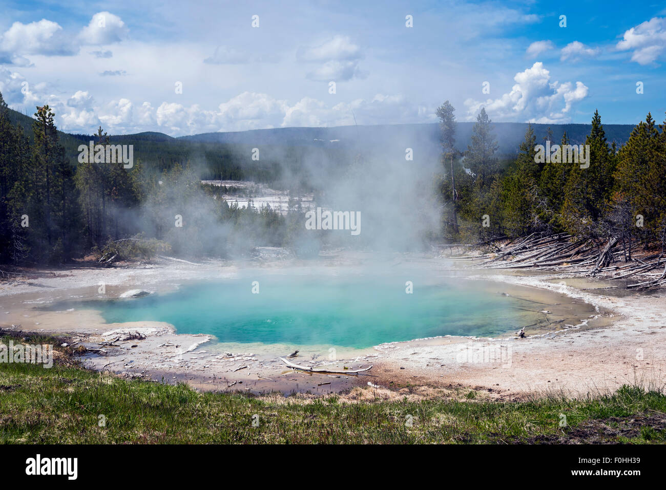 Pool in Emerald Spring - hot spring located in Norris Geyser Basin of ...
