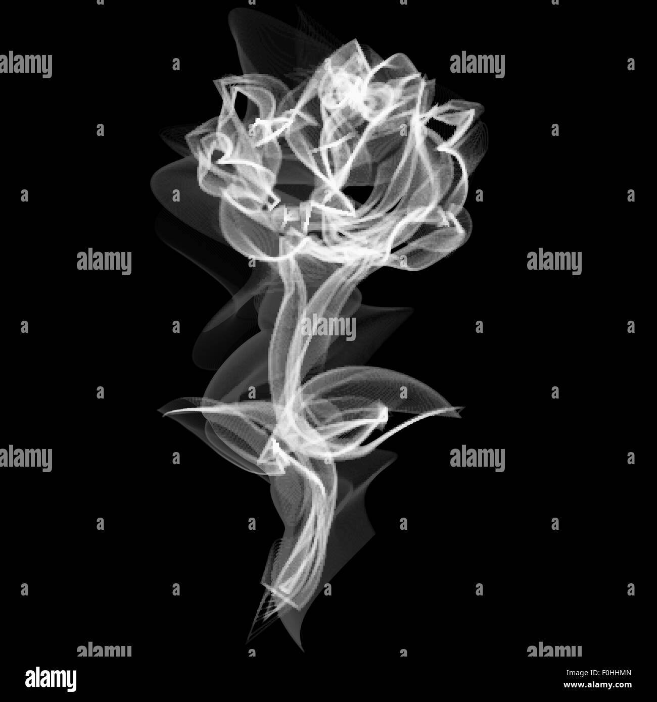 Realistic Rose Black and White Stock Photos & Images - Alamy