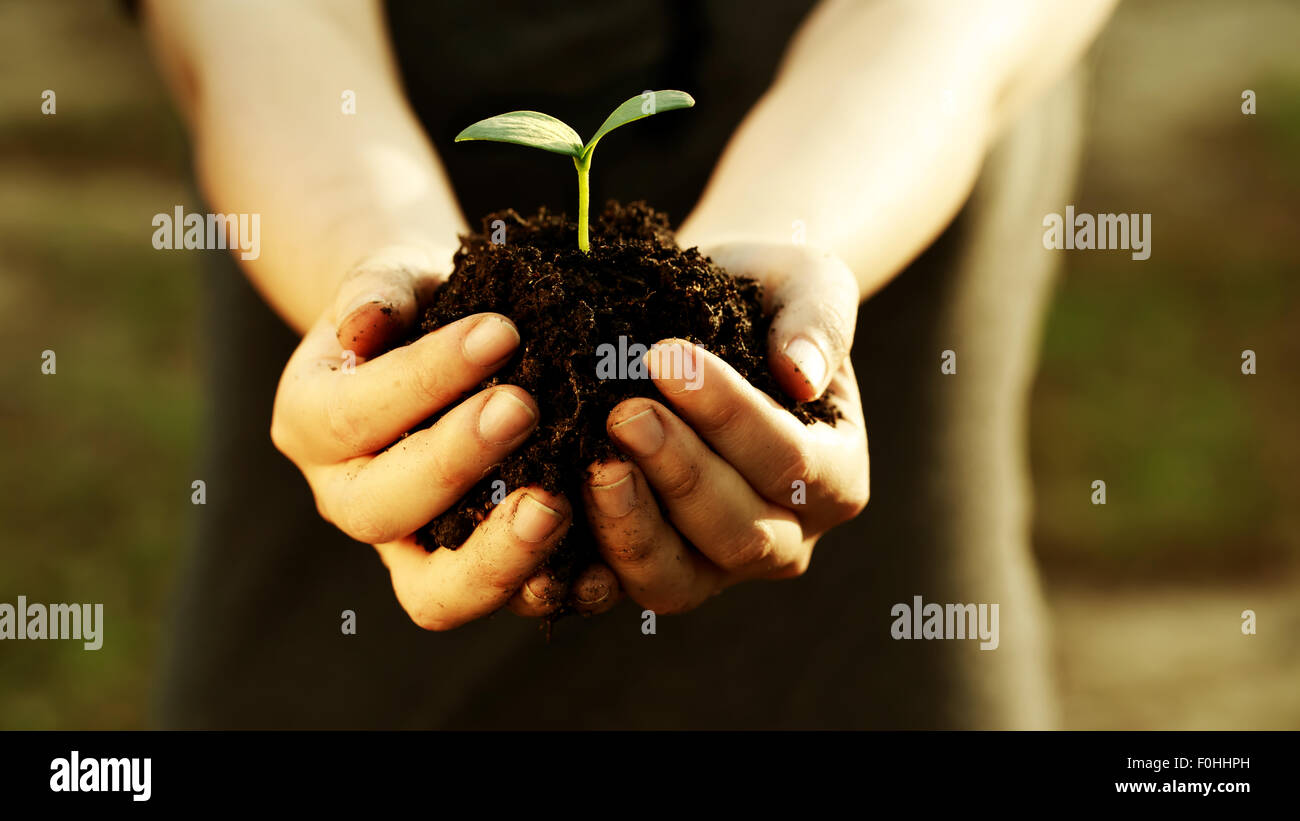 Hand holding plant hi-res stock photography and images - Alamy
