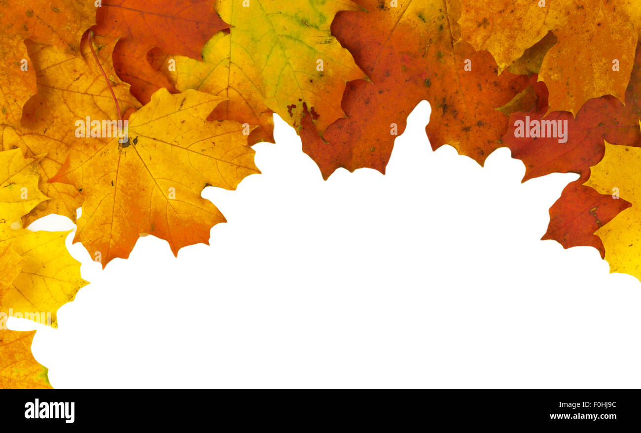 Colorful autumn border hi-res stock photography and images - Alamy