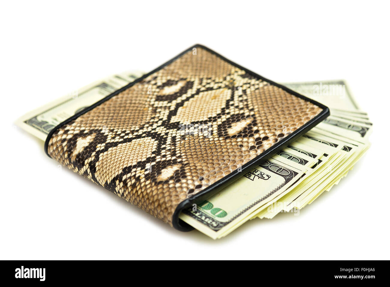 Money in snake leather purse isolated on white background Stock Photo ...