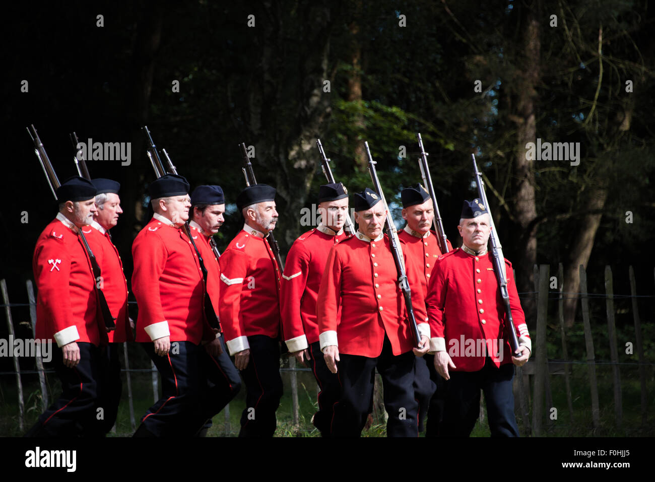 Queens regiment English Soldiers putting on a display at Cannock Chase ...