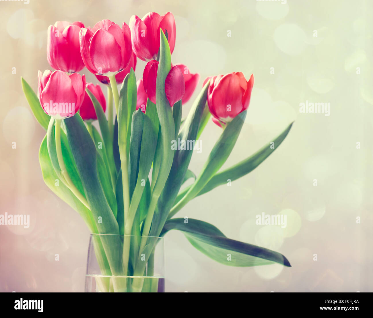 Shiny flowers hi-res stock photography and images - Alamy