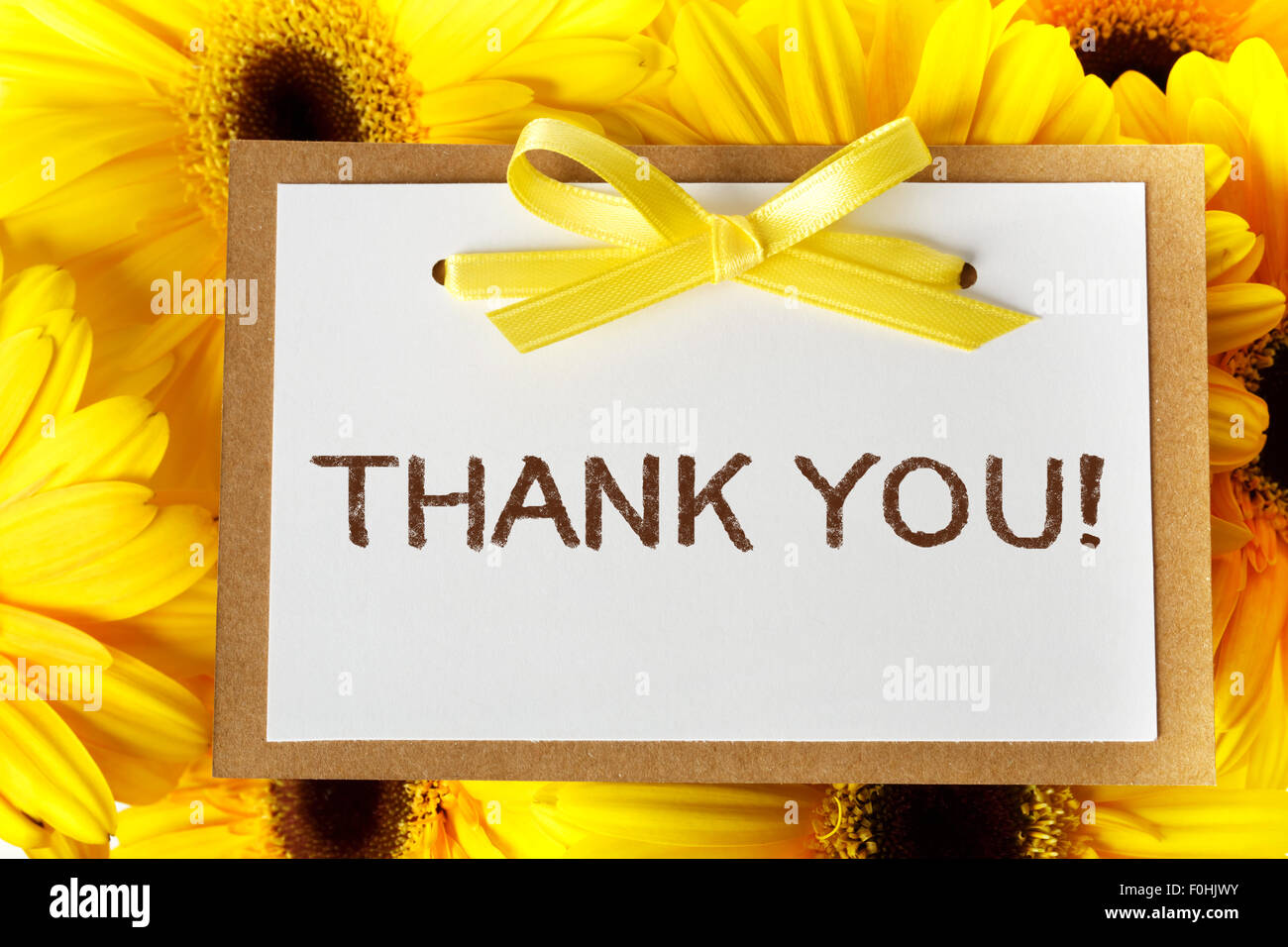 Thank you message card with yellow gerberas Stock Photo - Alamy