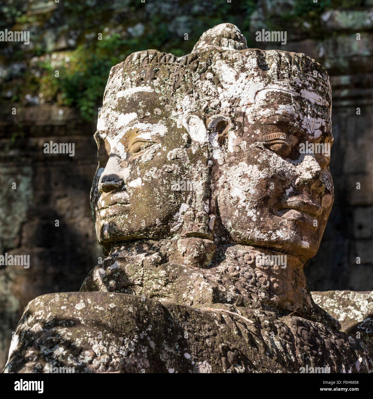 Twin headed hi-res stock photography and images - Alamy