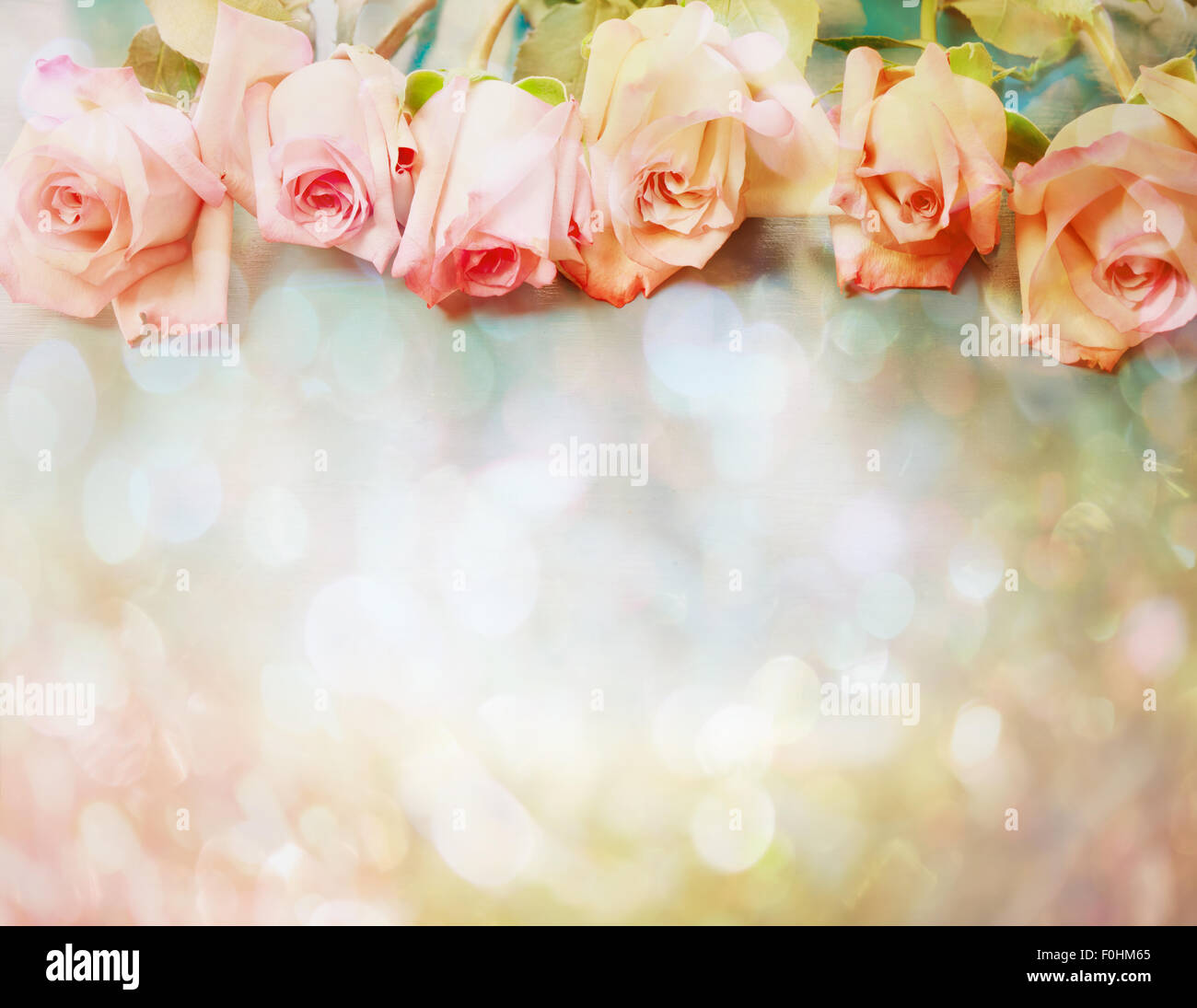 Antique pink roses hi-res stock photography and images - Alamy