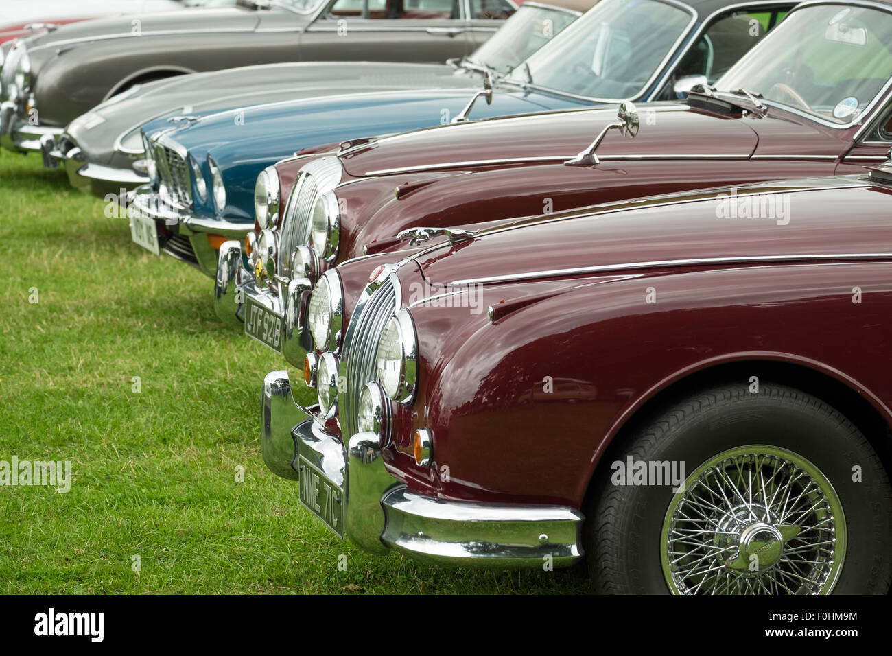 Classic Jaguars High Resolution Stock Photography and Images - Alamy