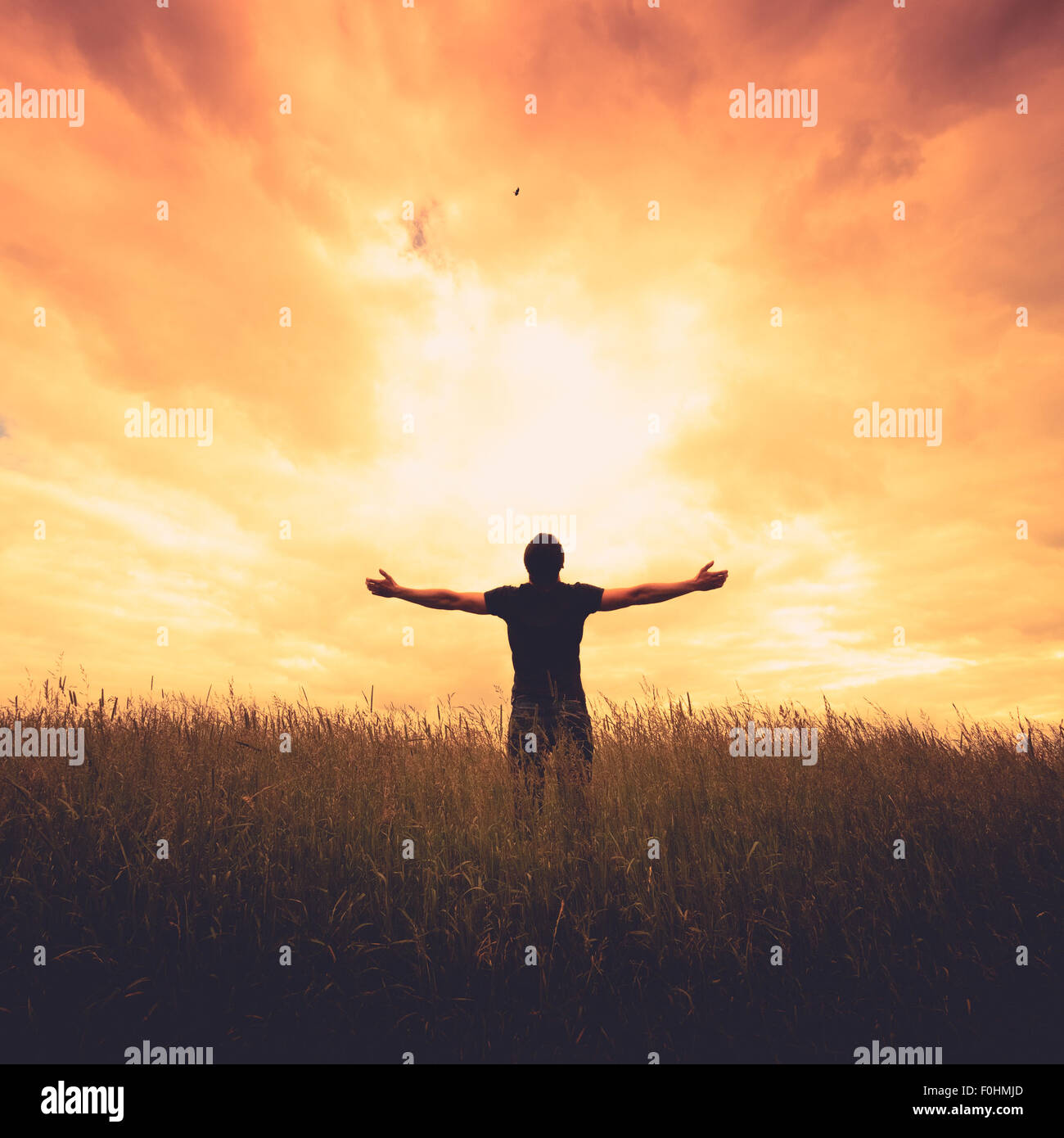 Silhouette of man and sunshine Stock Photo - Alamy