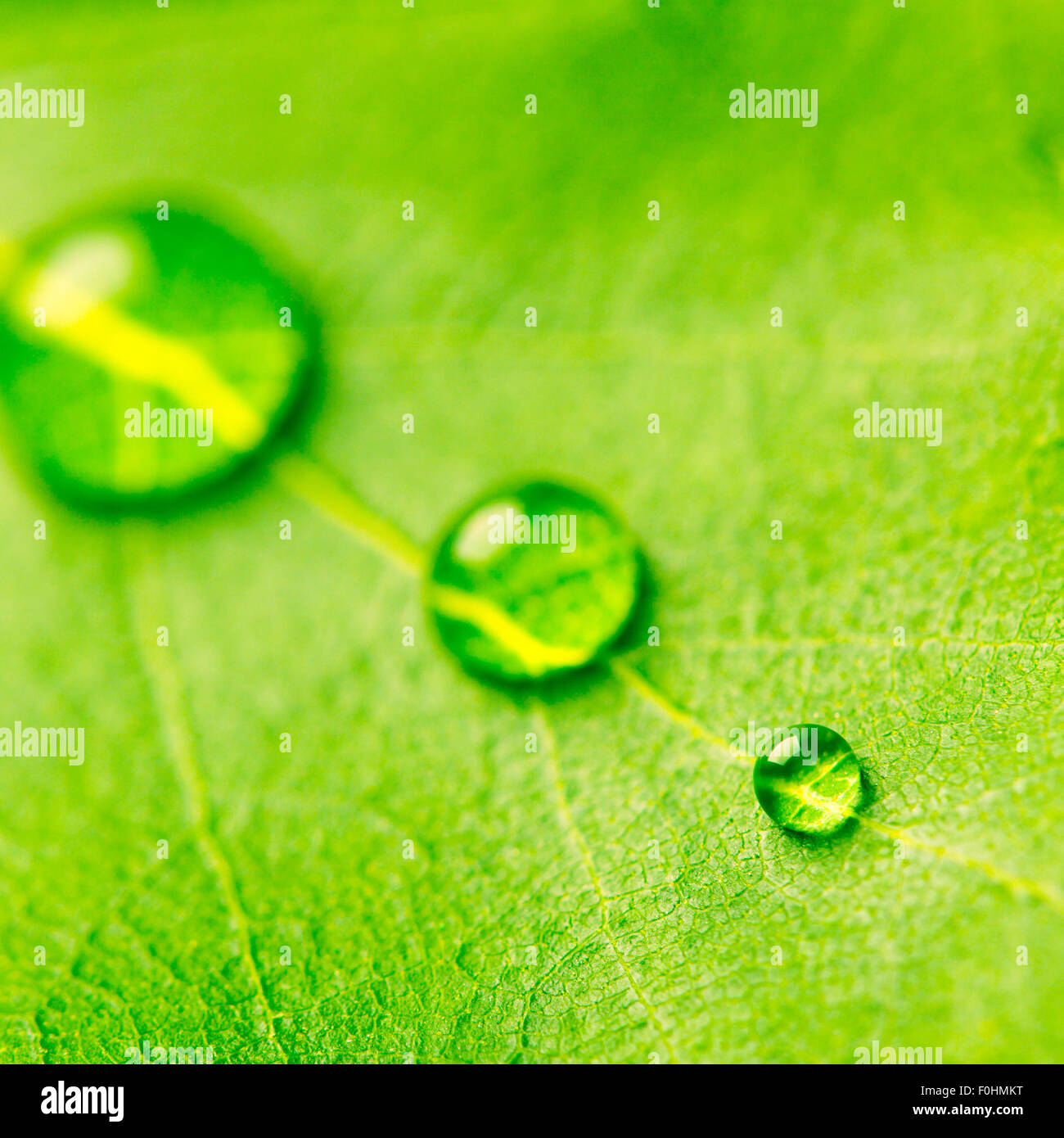 Water and flora harmony hi-res stock photography and images - Alamy