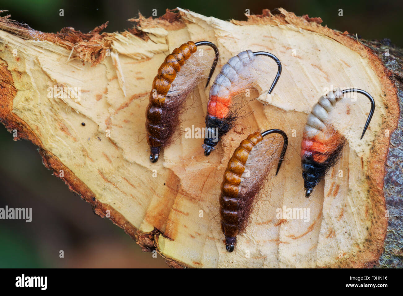 Polish tied fly patterns imitating various Gammarus species displyed on ...