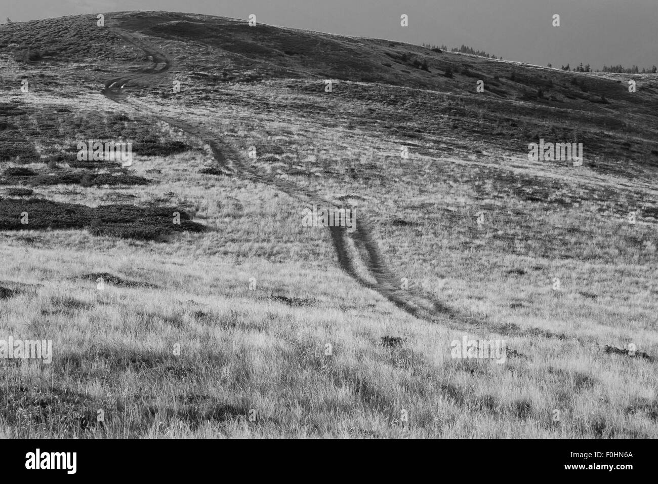 Nature landscape path in Black and White Stock Photos & Images - Alamy