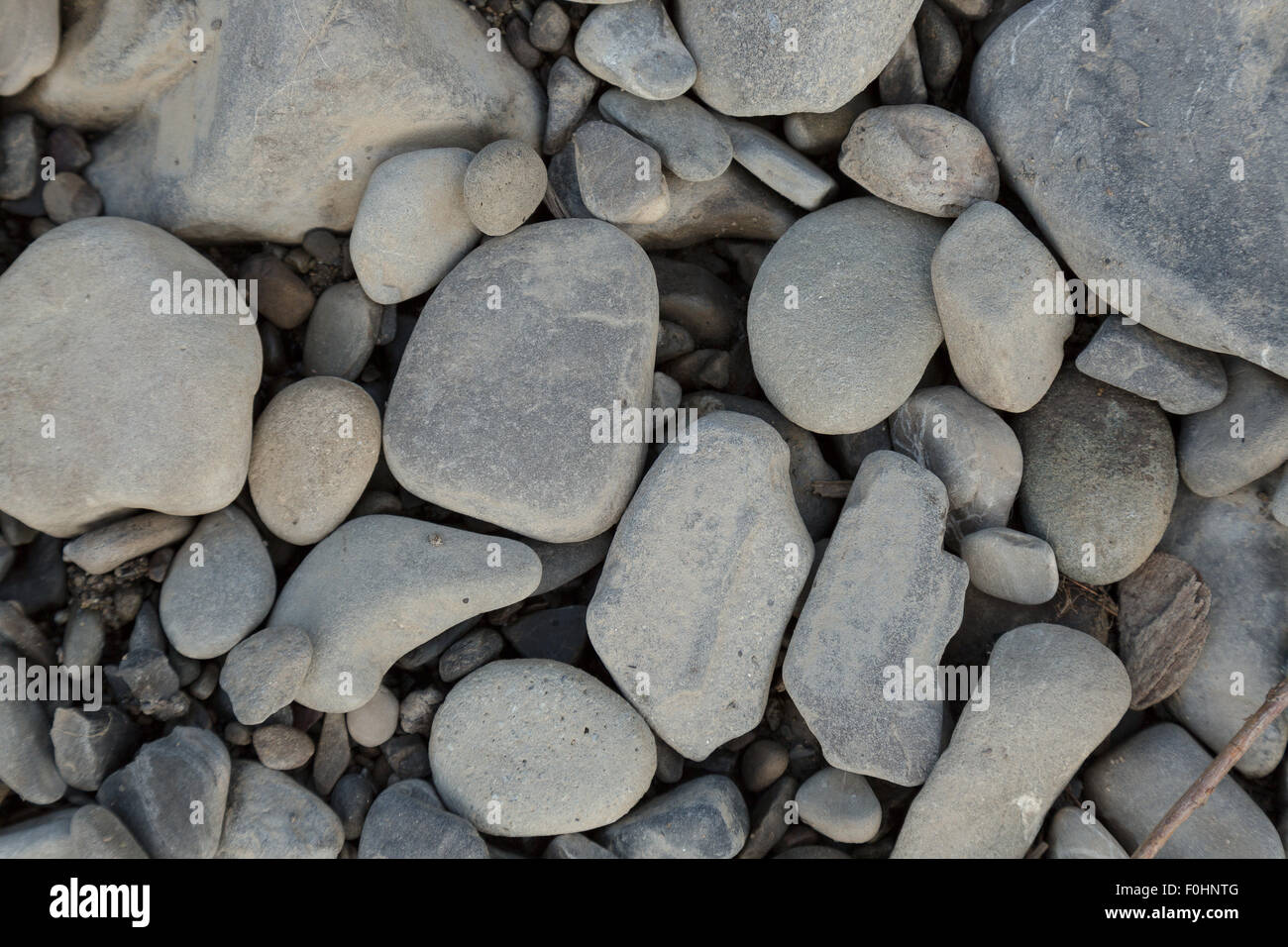 close up of oval stones Stock Photo - Alamy