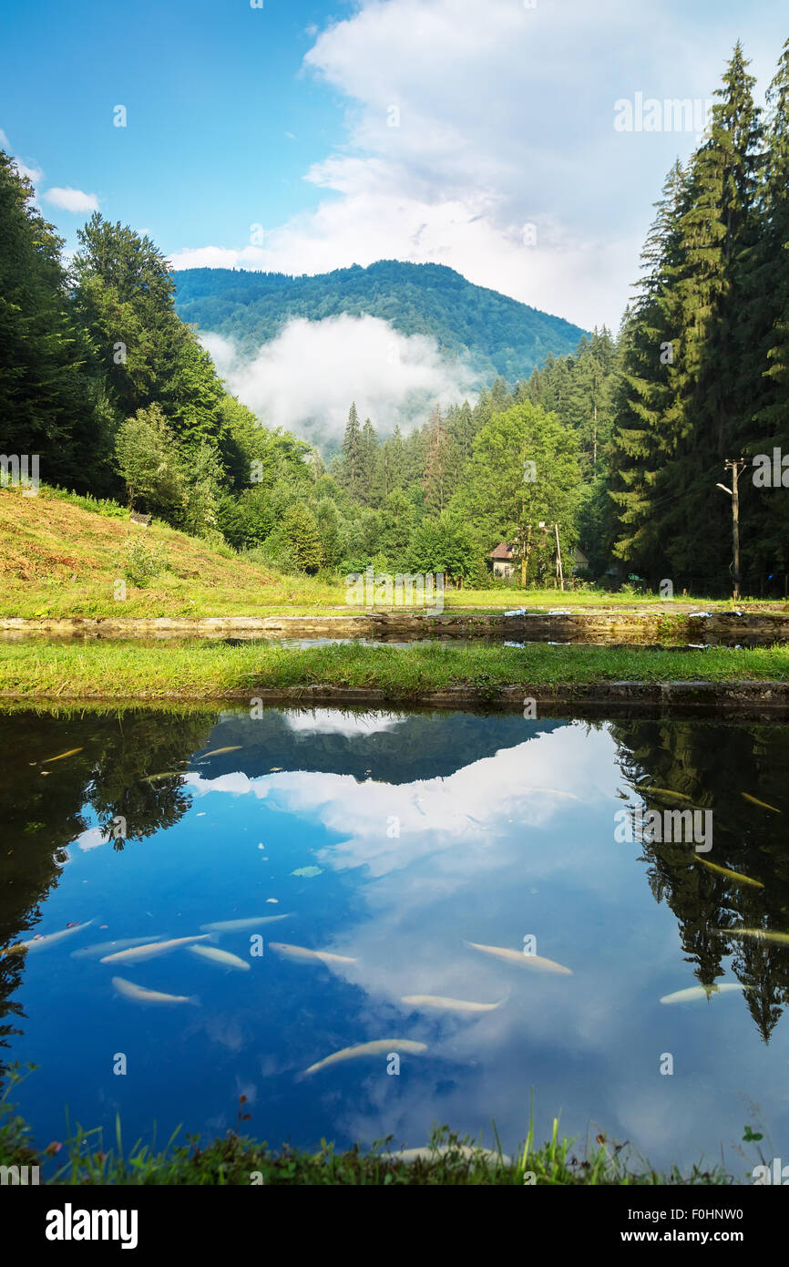 Fish mountain hi-res stock photography and images - Alamy