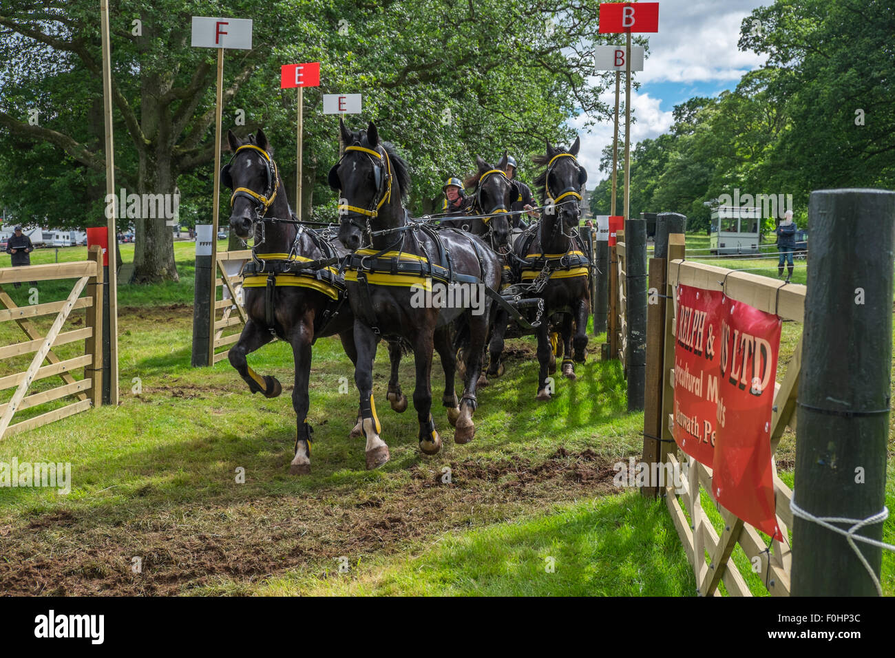 Carriage driving competition Stock Photo - Alamy