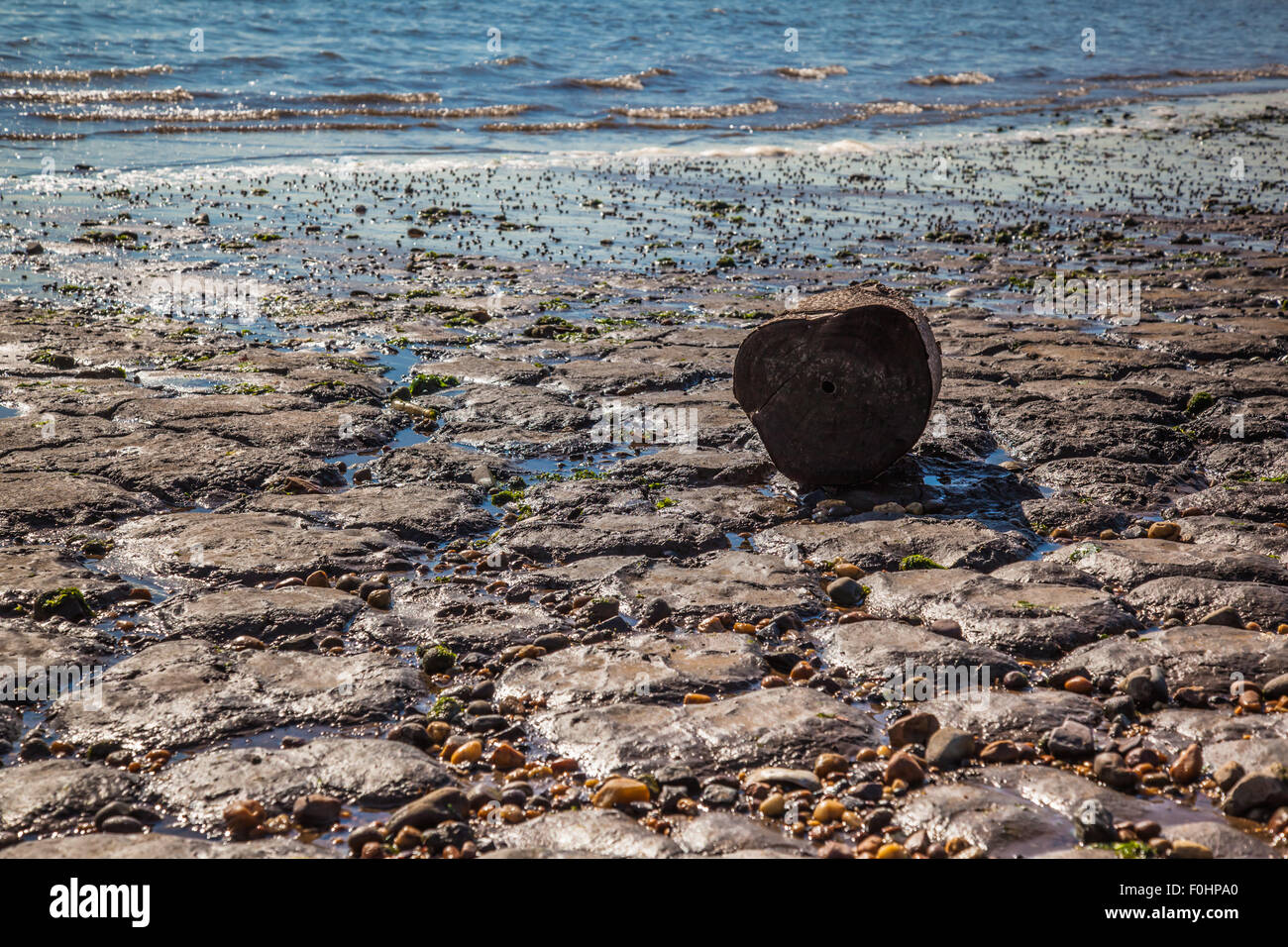 Sand textures and log with blue beach water Stock Photo - Alamy