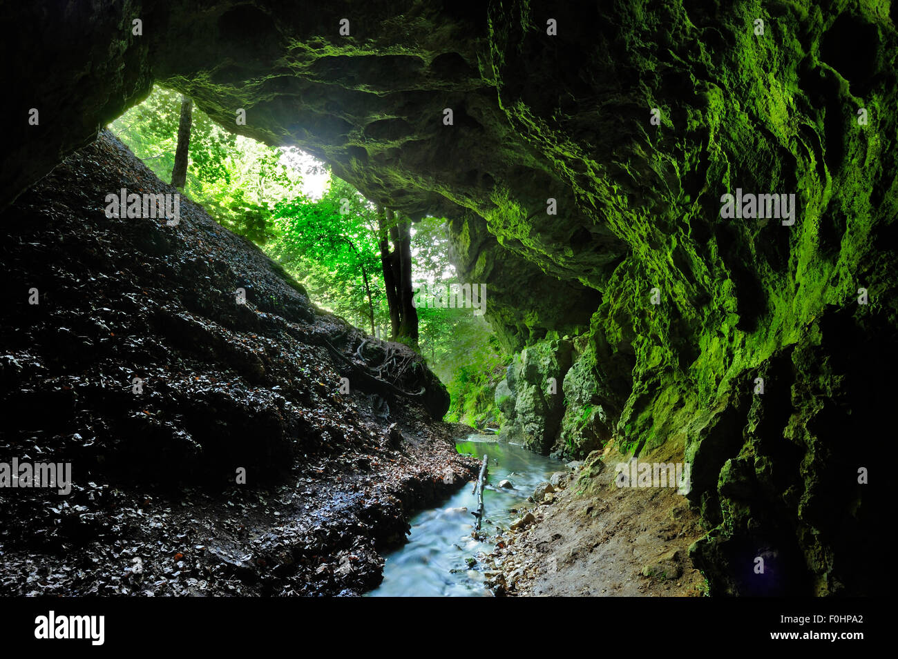 Sandra moss hi-res stock photography and images - Alamy