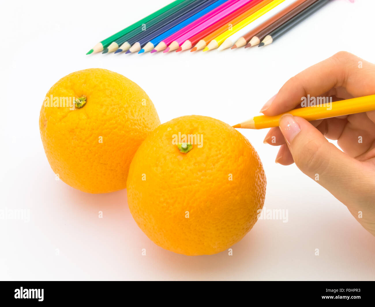 Orange Fruit Pencil Drawing