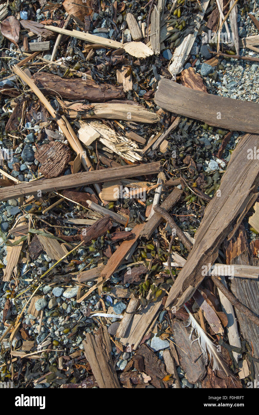 Flotsam and jetsam hi-res stock photography and images - Alamy