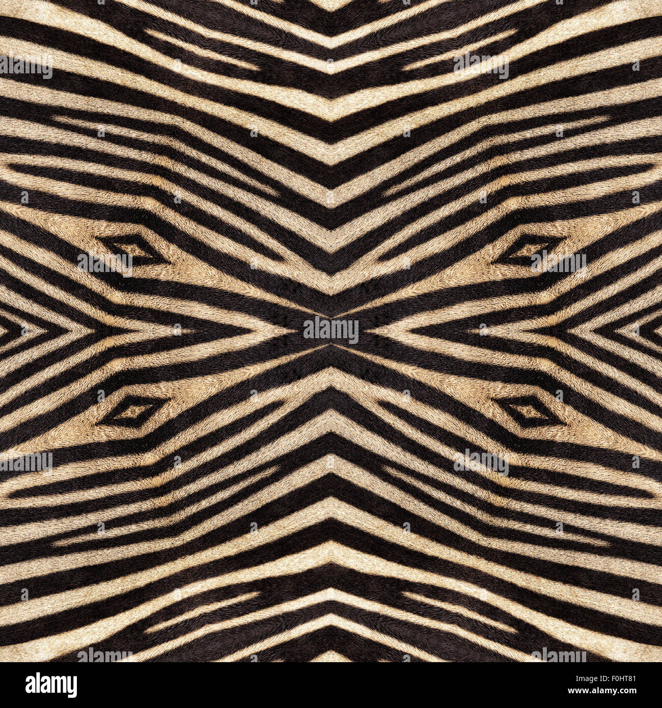 Zebra Wallpapers Backgrounds Zebra against black background - Tavelbutiken