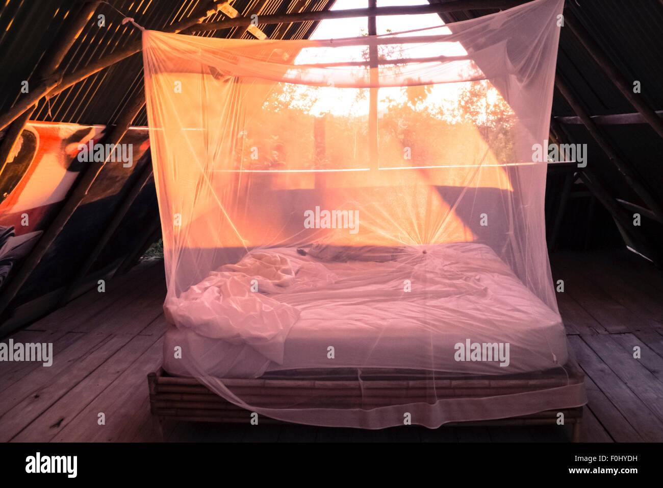 Open room in Costa Rica with mosquito net and orange light Stock Photo ...