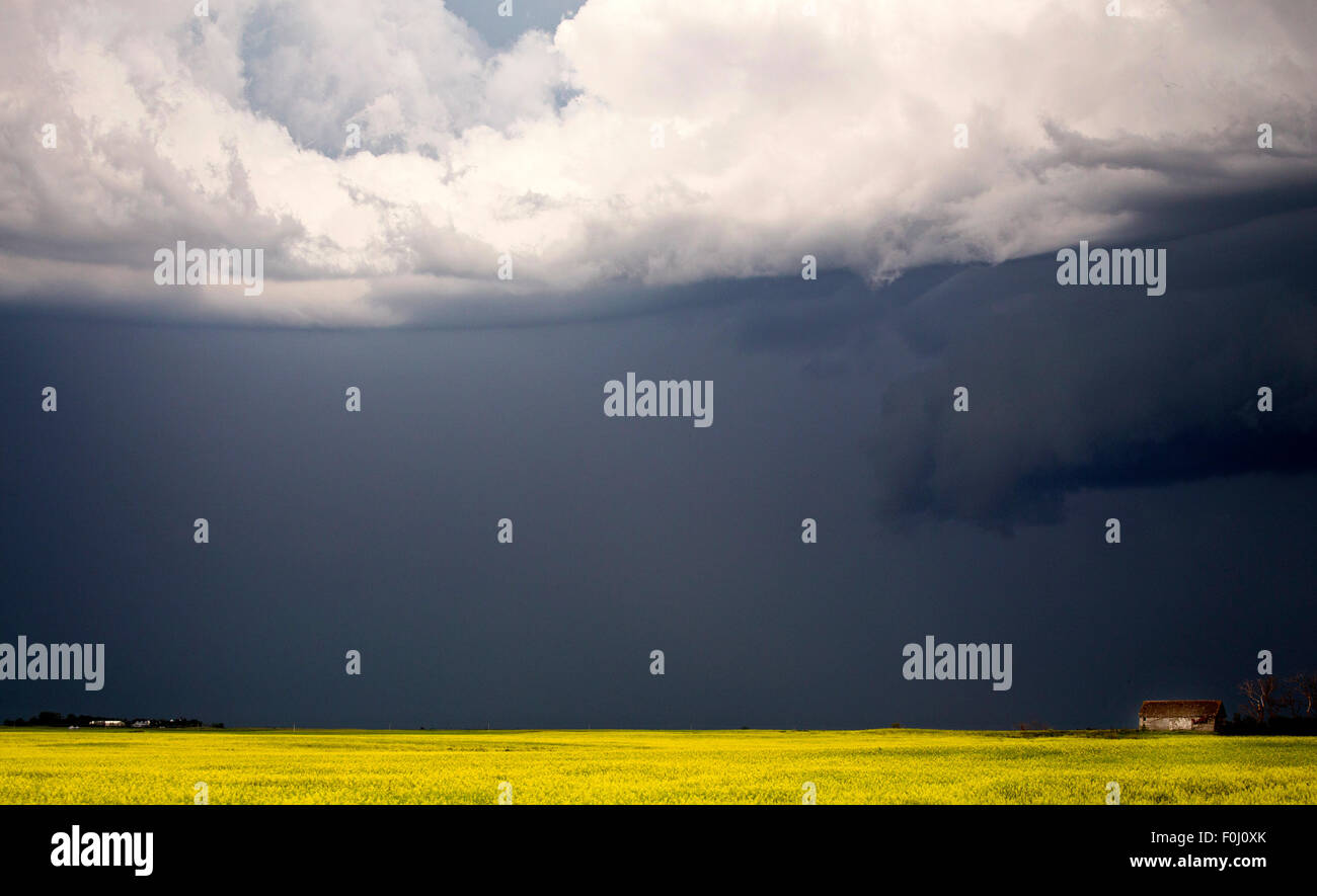 Storm Clouds Prairie Sky Canada Ominous danger Stock Photo - Alamy