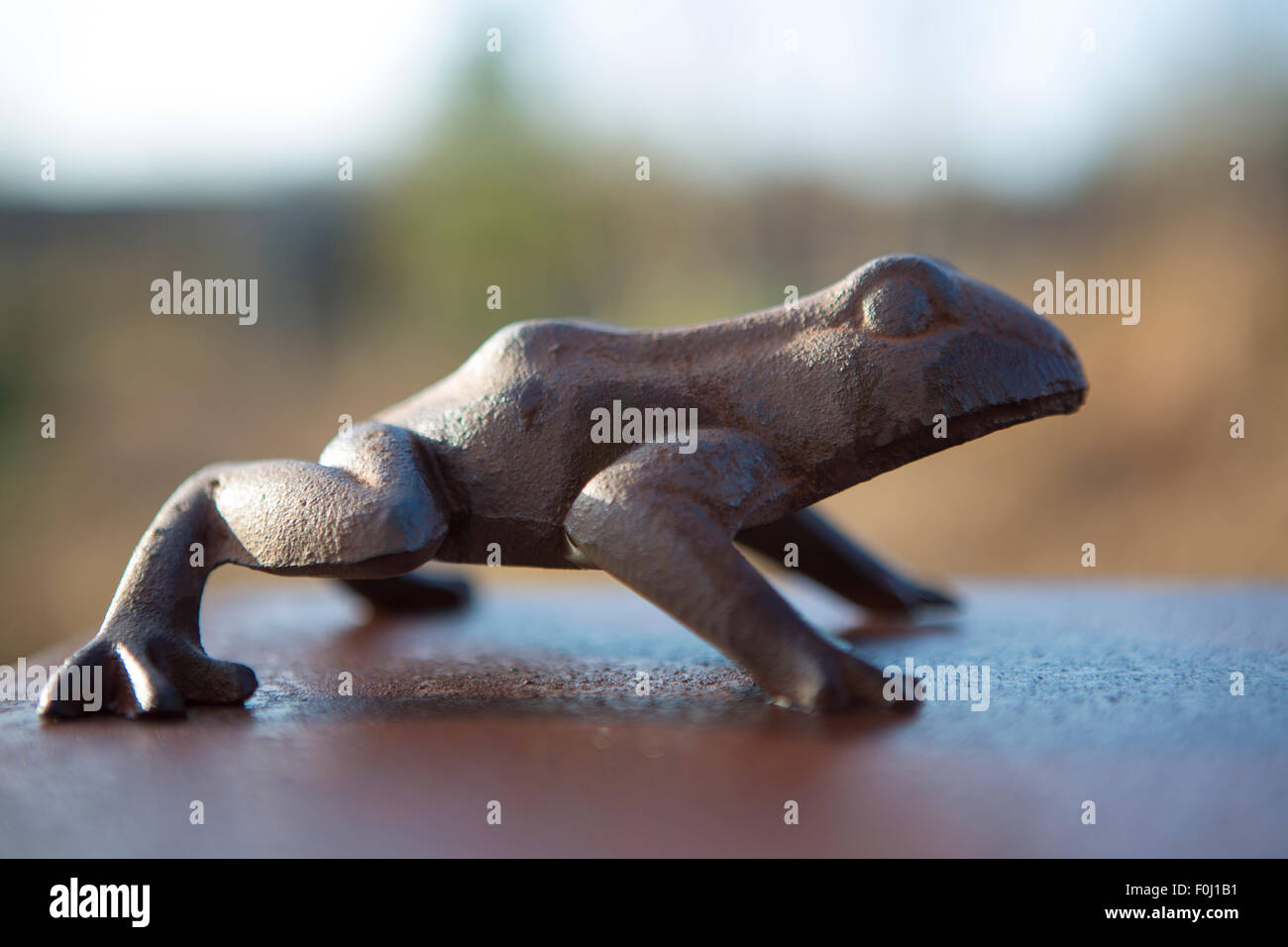 Detail of a bronze frog sculpture with blurred background Stock Photo ...