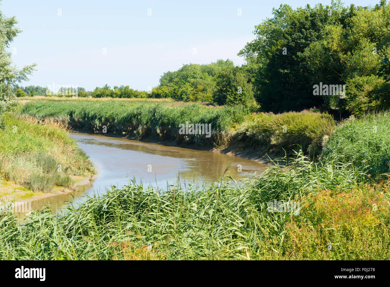 River Stour in Sandwich, Kent Stock Photo - Alamy