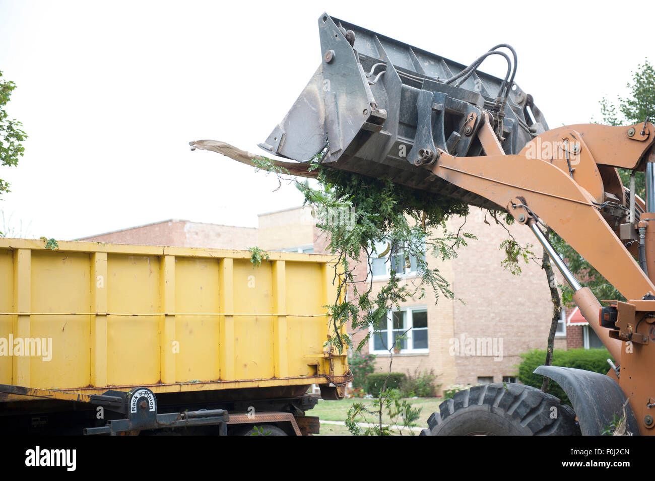 Emergency tree removal hi-res stock photography and images - Alamy