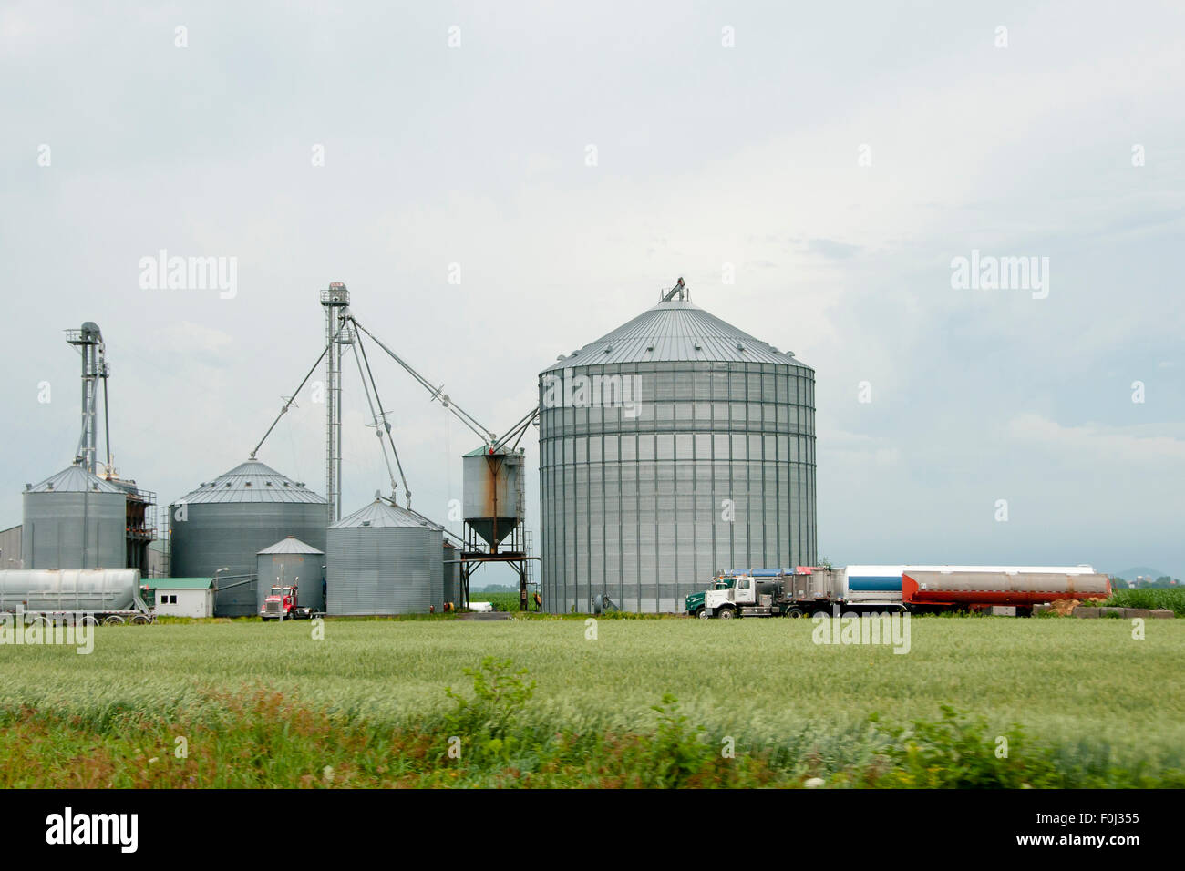 Farm Silos - Quebec - Canada Stock Photo - Alamy