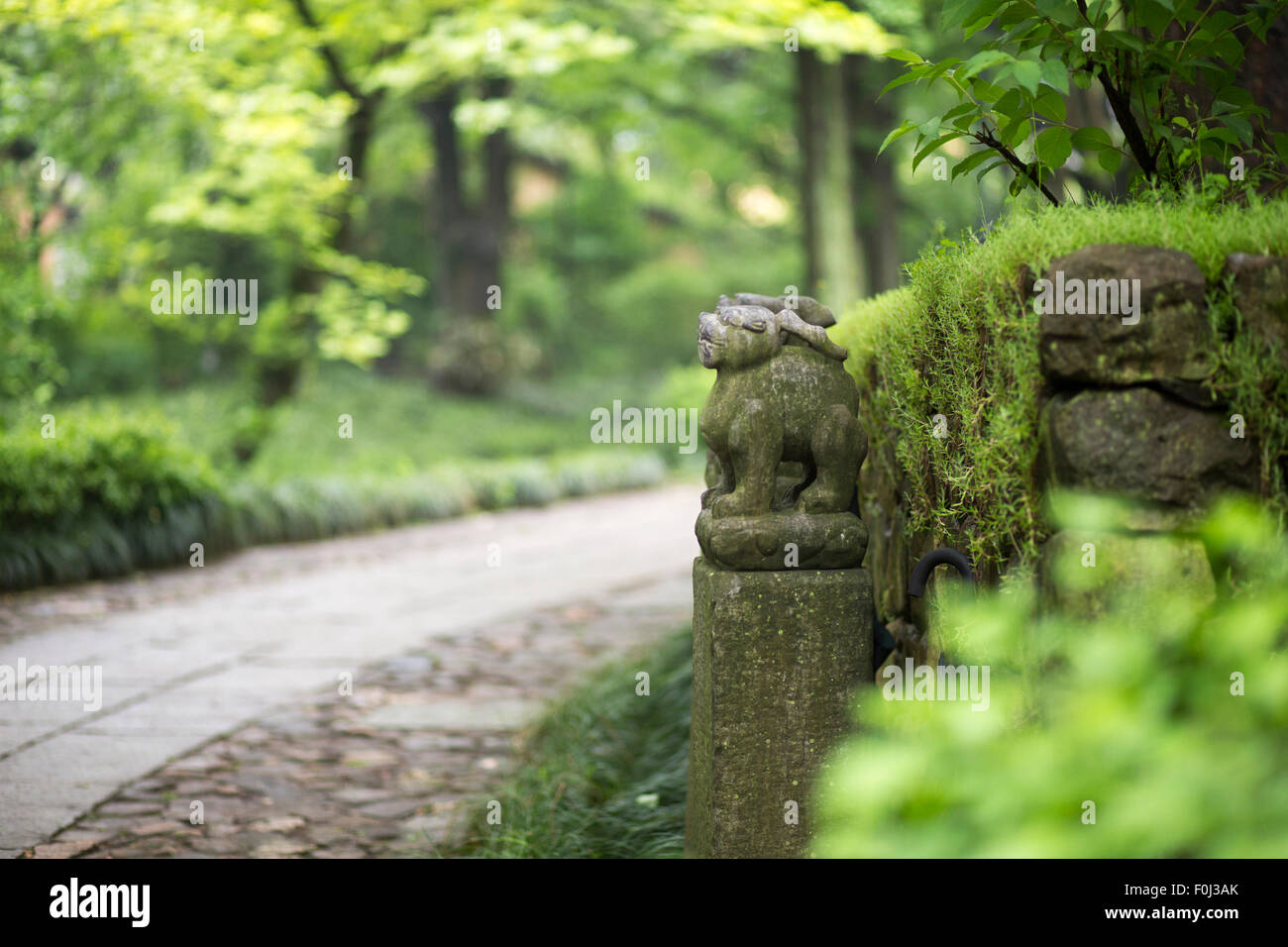 A little alley in Hangzhou forest, china, 2013 Stock Photo - Alamy