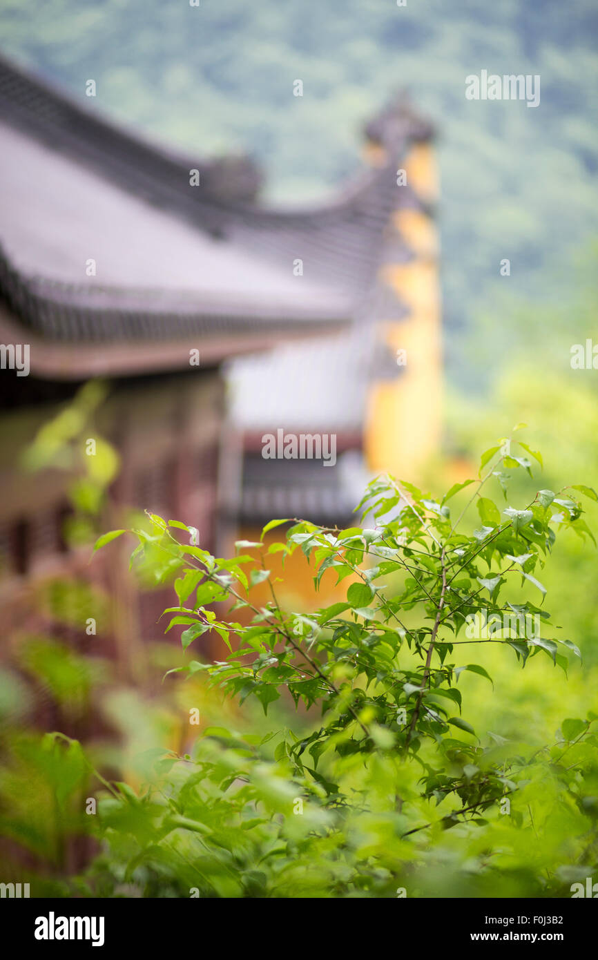 Traditional Chinese temple surrounded by the green forest Stock Photo ...