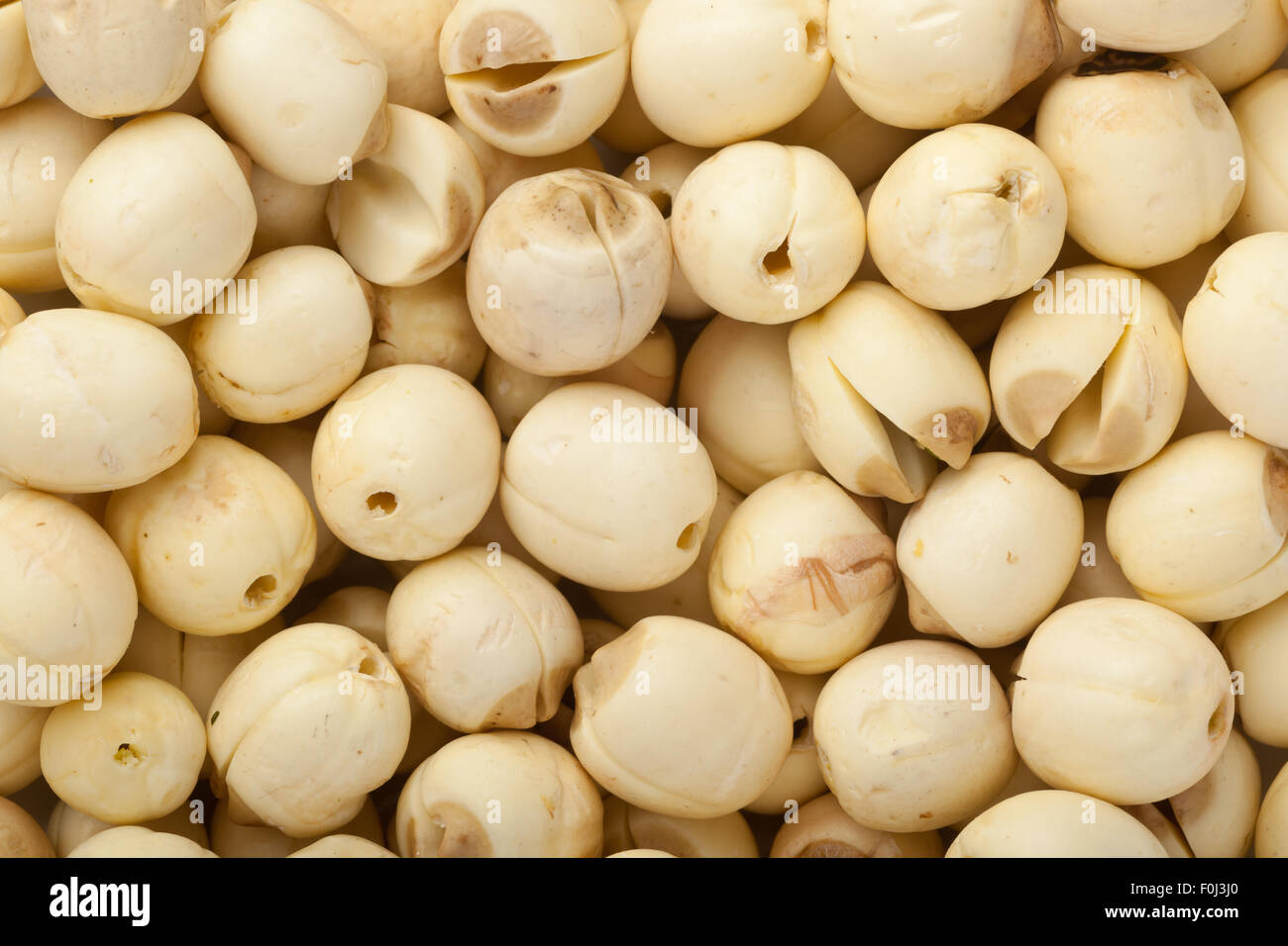 Closeup of lots of dried lotus seeds Stock Photo - Alamy