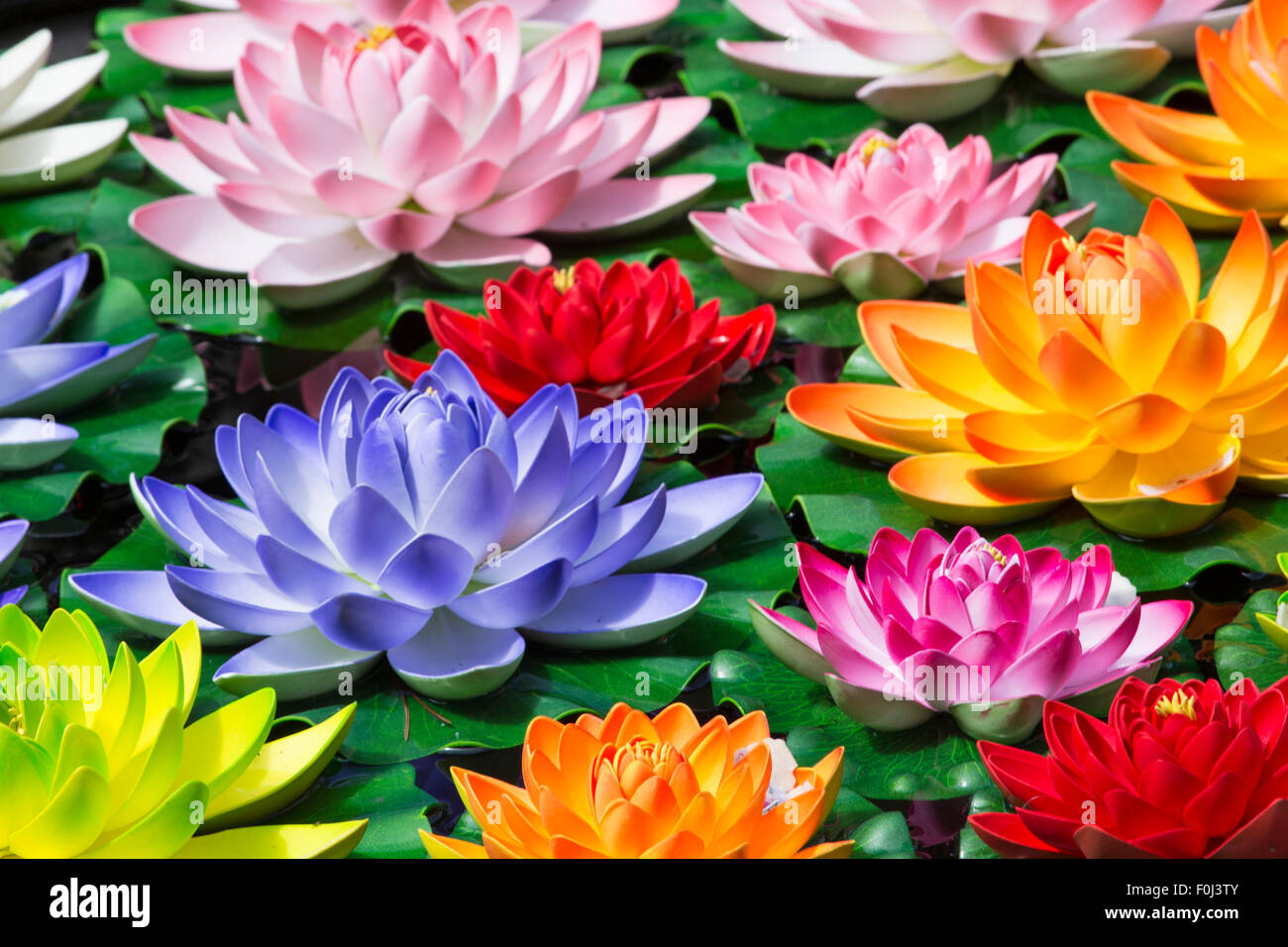 Floating Flowers Screensavers