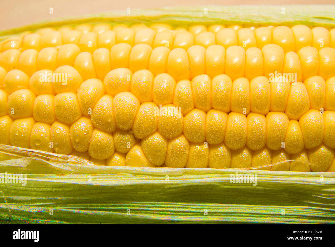 One ripe corn on the cob with water drops on grains Stock Photo - Alamy
