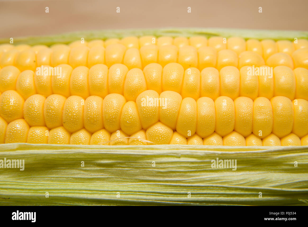 Ear of corn hi-res stock photography and images - Alamy