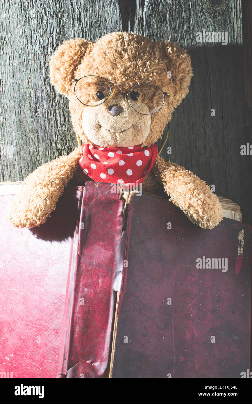 Children teddy bear with old vintage book Stock Photo - Alamy